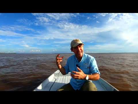 EXPLAINING THE ORIGIN OF THE NAME OF THE AMAZON RIVER