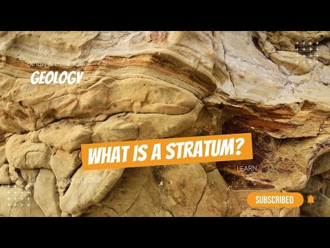 Stratum 👌 : what a stratum is in geology 🔥 #Geology