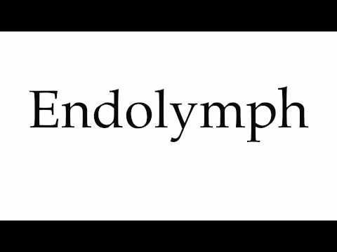 How to Pronounce Endolymph