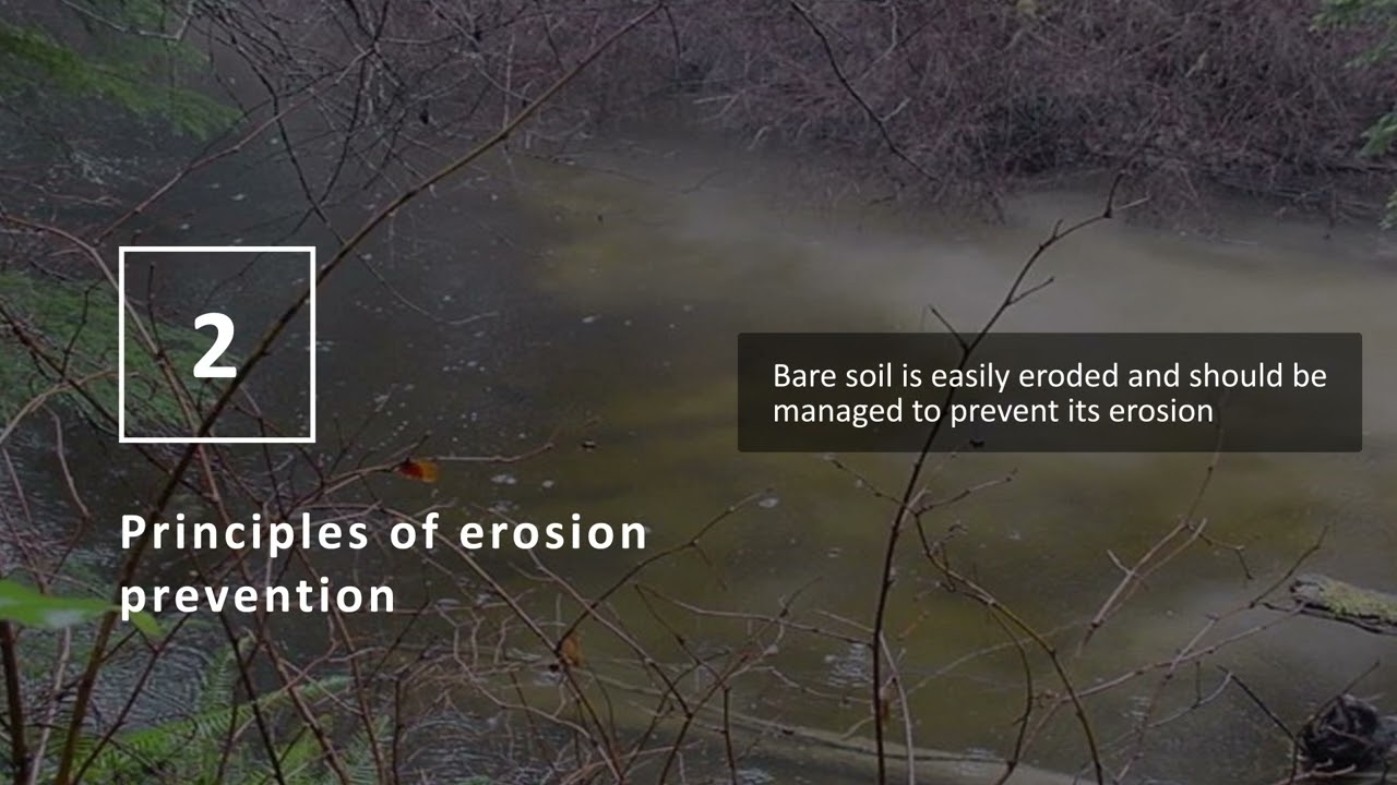 Erosion and principles of erosion prevention in forestry