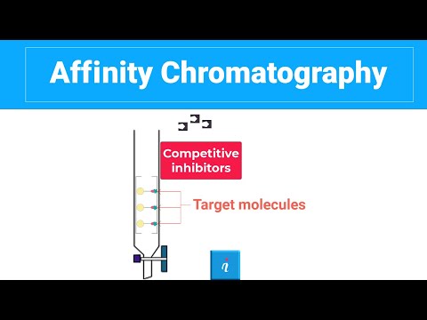 Affinity Chromatography (With Animation)