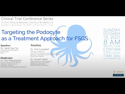 Targeting the Podocyte as a Treatment Approach for FSGS
