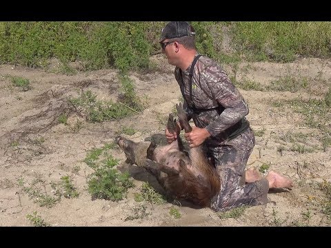 Catching a MAD wild Boar!!! {How to build a wild hog trap} - HuntPost.com
