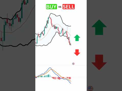 MACD and Bollinger Bands?