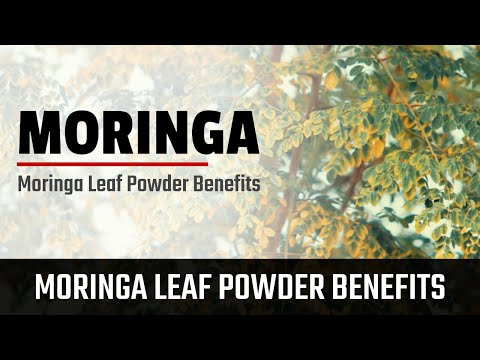 Moringa Leaf Powder Benefits
