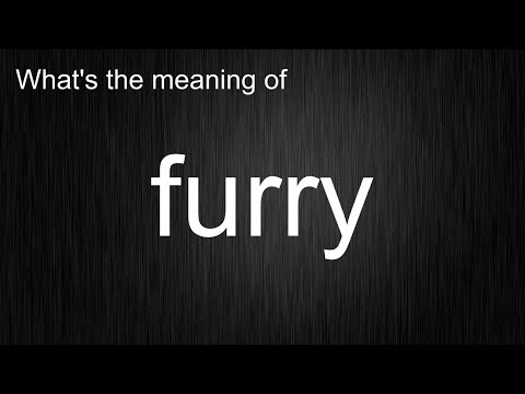 What's the meaning of "furry", How to pronounce furry?
