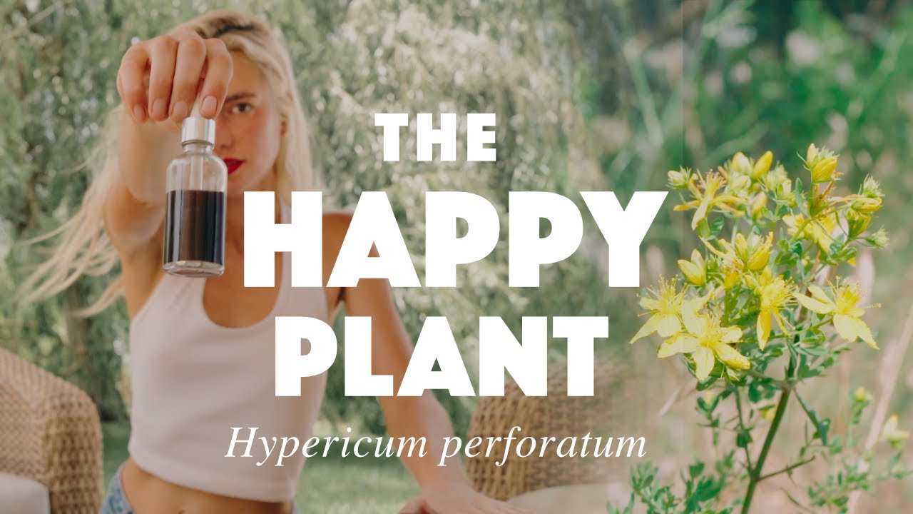 The plant that makes you happy : St John's Wort Tincture, a natural anti depressant