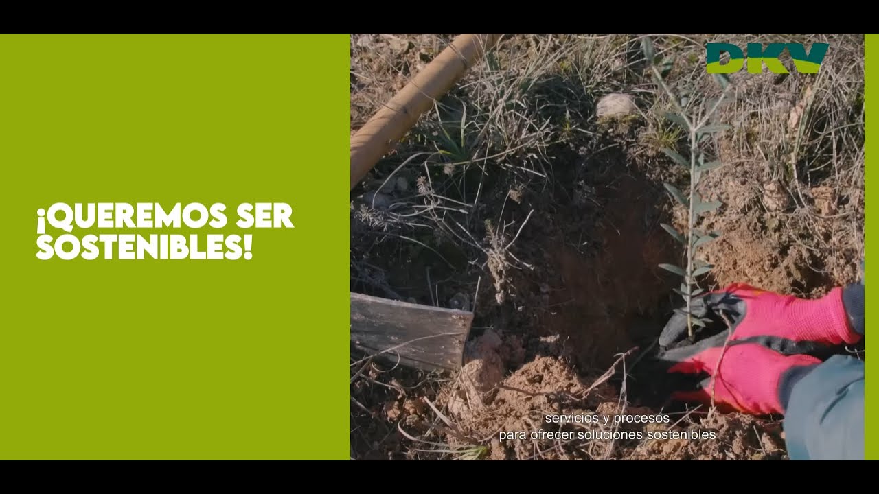 🏃‍♀️🌍Cómo incorporar Productos Sostenidbles | Salud y Sostenibilidad