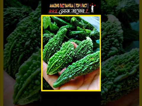 Surprising Facts About Food 🤯😱| Food Facts In Bengali | Health Tips | #bengali #facts #shorts