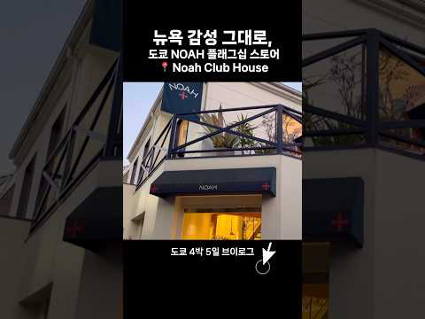 뉴욕 감성 그대로, 도쿄 Noah 플래그십 스토어 #도쿄쇼핑 #도쿄 #도쿄브이로그