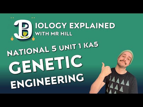 National 5 Biology Revision Unit 1 Genetic Engineering: Biology Explained with Mr Hill