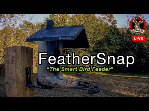 4K Live Bird Cam FeatherSnal Smart Bird Feeder