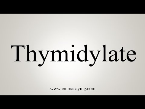 How To Say Thymidylate