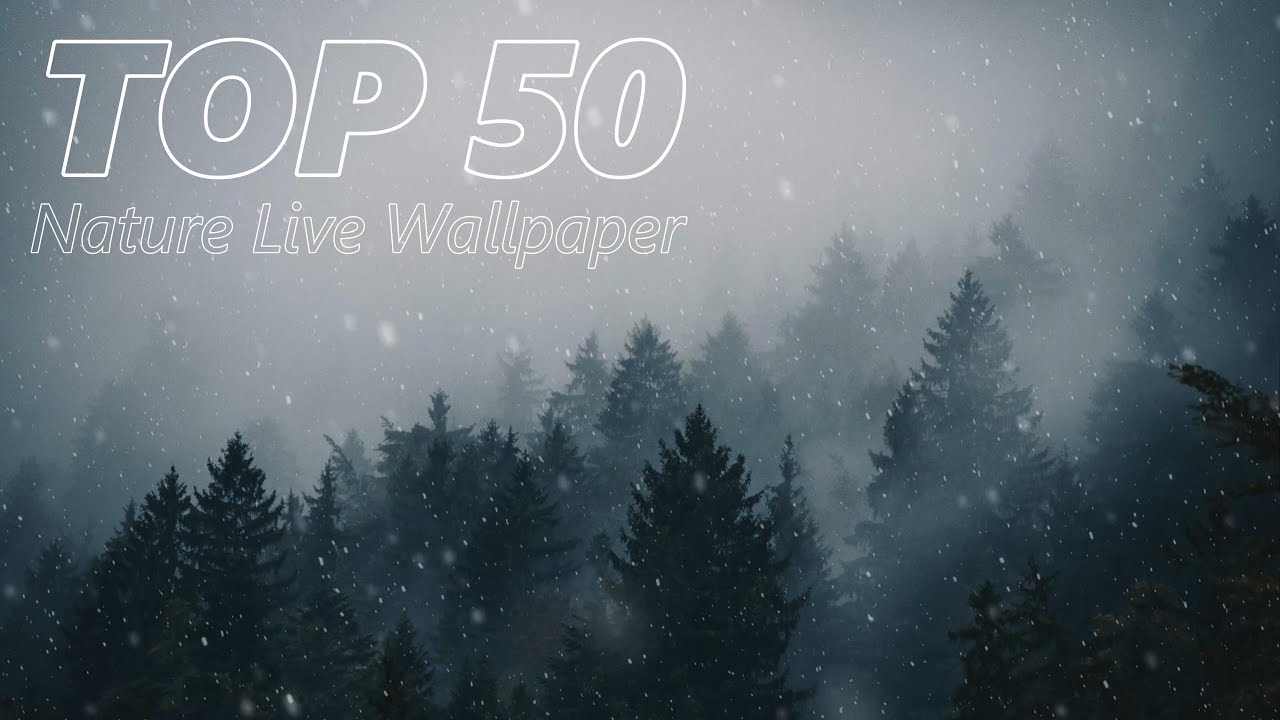 Wallpaper Engine Nature Top 50 | Relaxing 4K Live Wallpapers