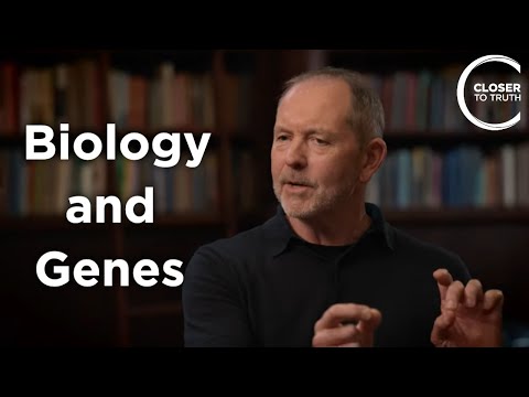 Paul Griffiths - Biology and Genes