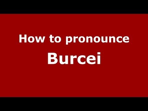 How to pronounce Burcei (Italian/Italy) - PronounceNames.com