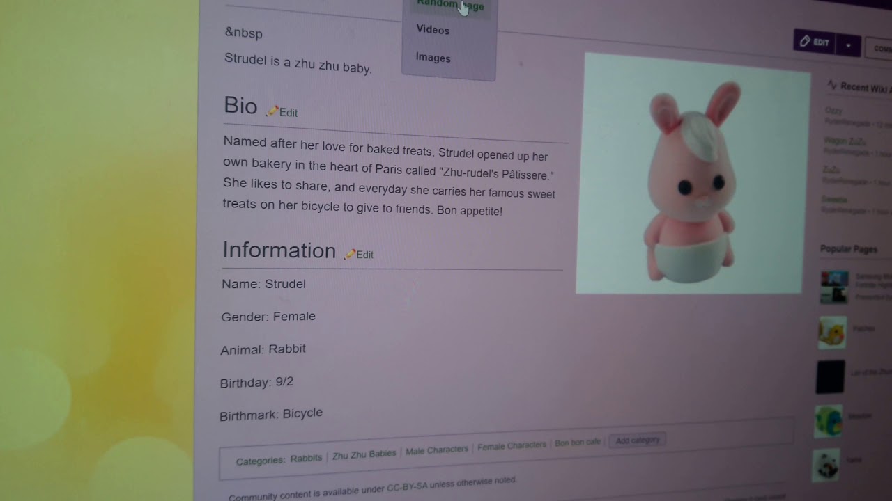 Random Pages on Zhupedia Wikia (Zhu Zhu Pets Wiki) #1