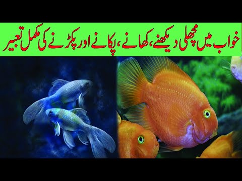 Fish Dream Interpretation And Meaning In UrduKhwab Mein Machli Khana Pakarna Ya Dekhna