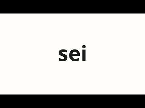 How to pronounce sei | 成飞 (Sekai in Japanese)