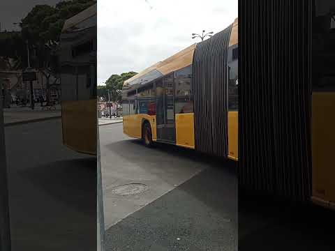 731 to Hoya la Plata [ linea 12 ] guaguas municipales #automobile #transportacion #colectivos
