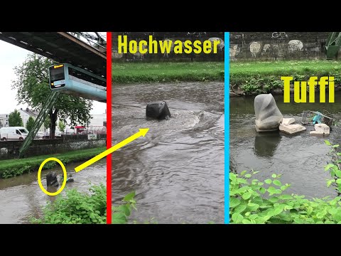 Elefant Tuffi vom Hochwasser umspült * Schwebebahn Wuppertal WSW