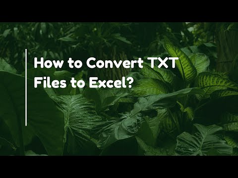 How to Convert TXT Files to Excel?