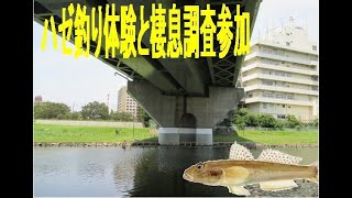 HTFJカンパニーの動画 | アクティビティジャパン