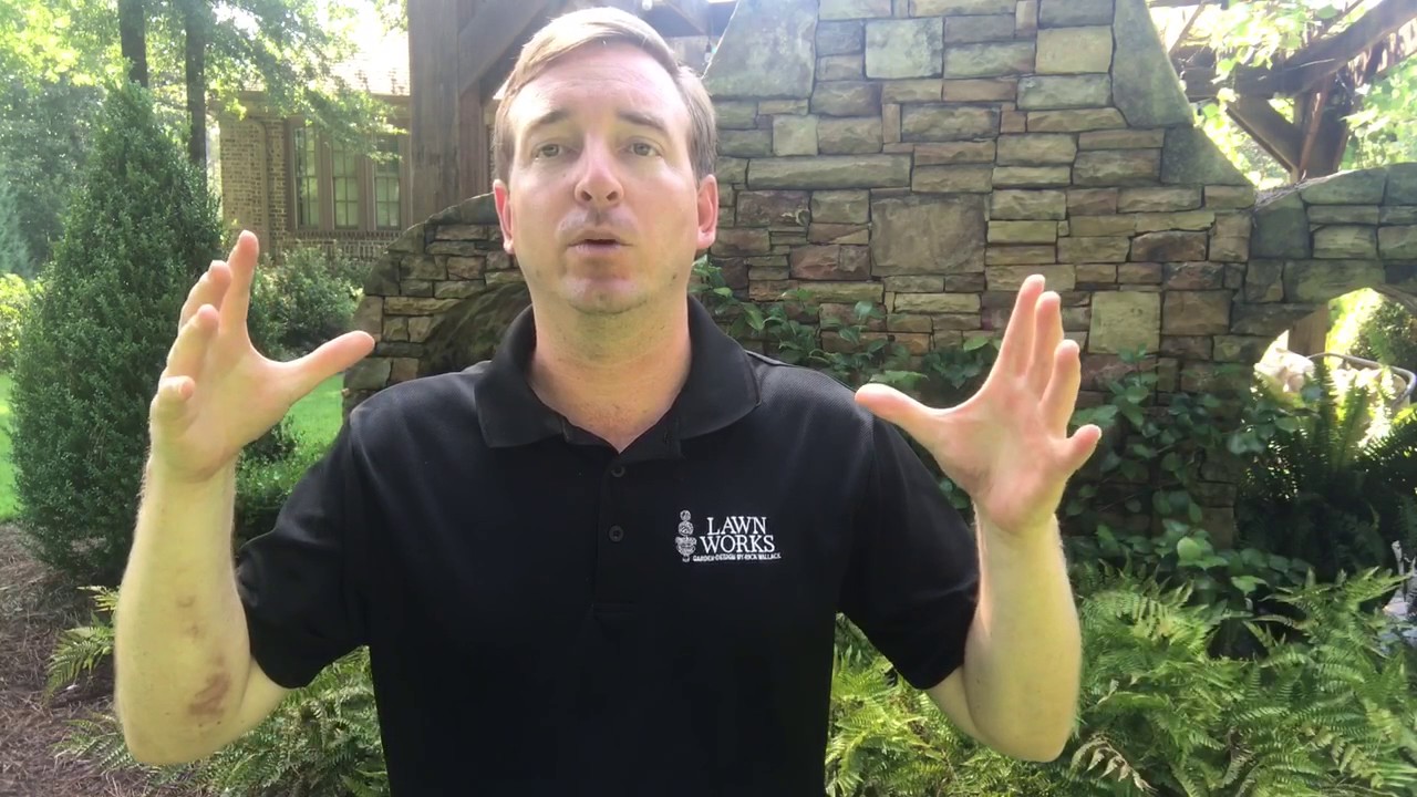 Our landscape installation process