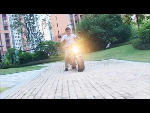 e-scooter Citycoco fat tire koloběžka Harley – Eco Rooder r804i