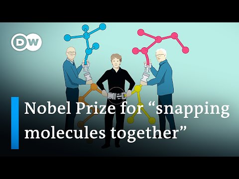 What is Click Chemistry? | DW News
