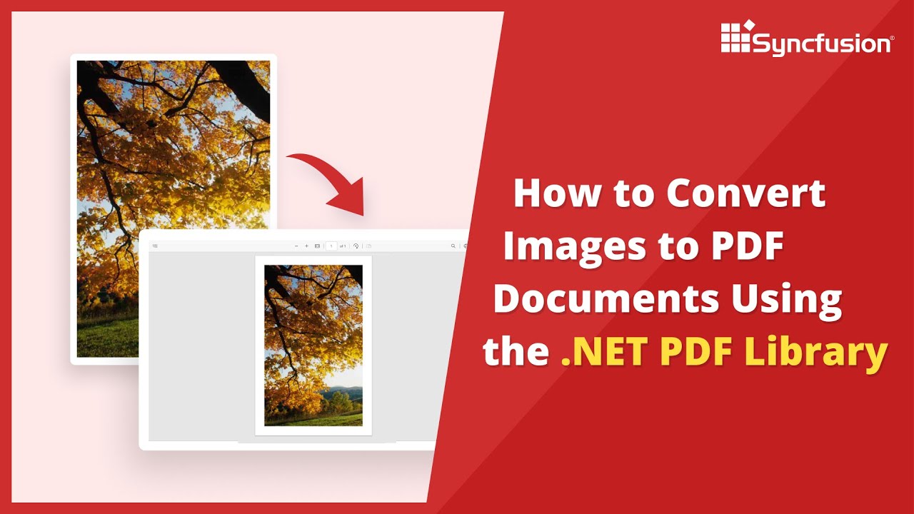 .NET PDF Library: Converting Images to a PDF Document