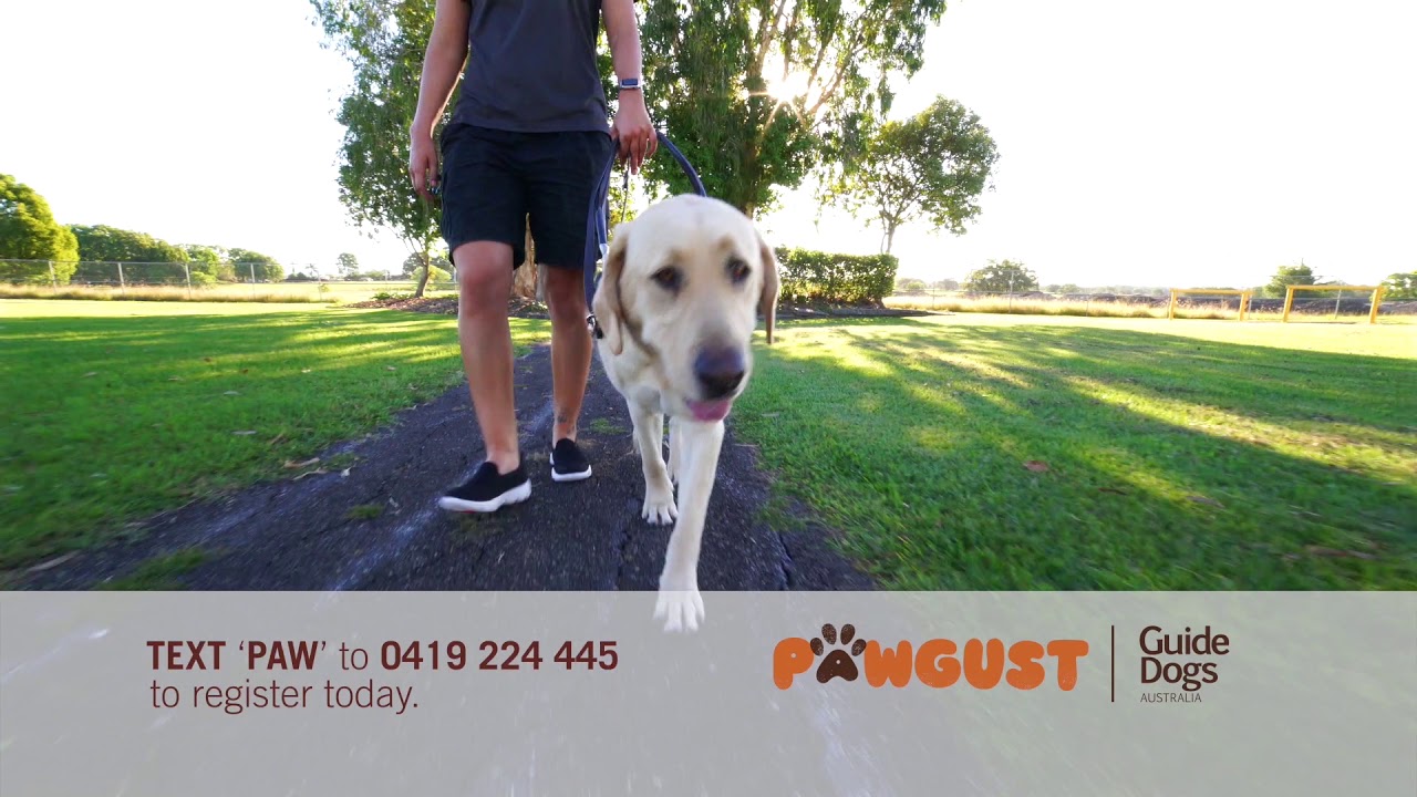 Accessible Version - PAWGUST 2019 Commercial