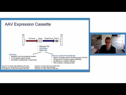 AAV Expression Cassette