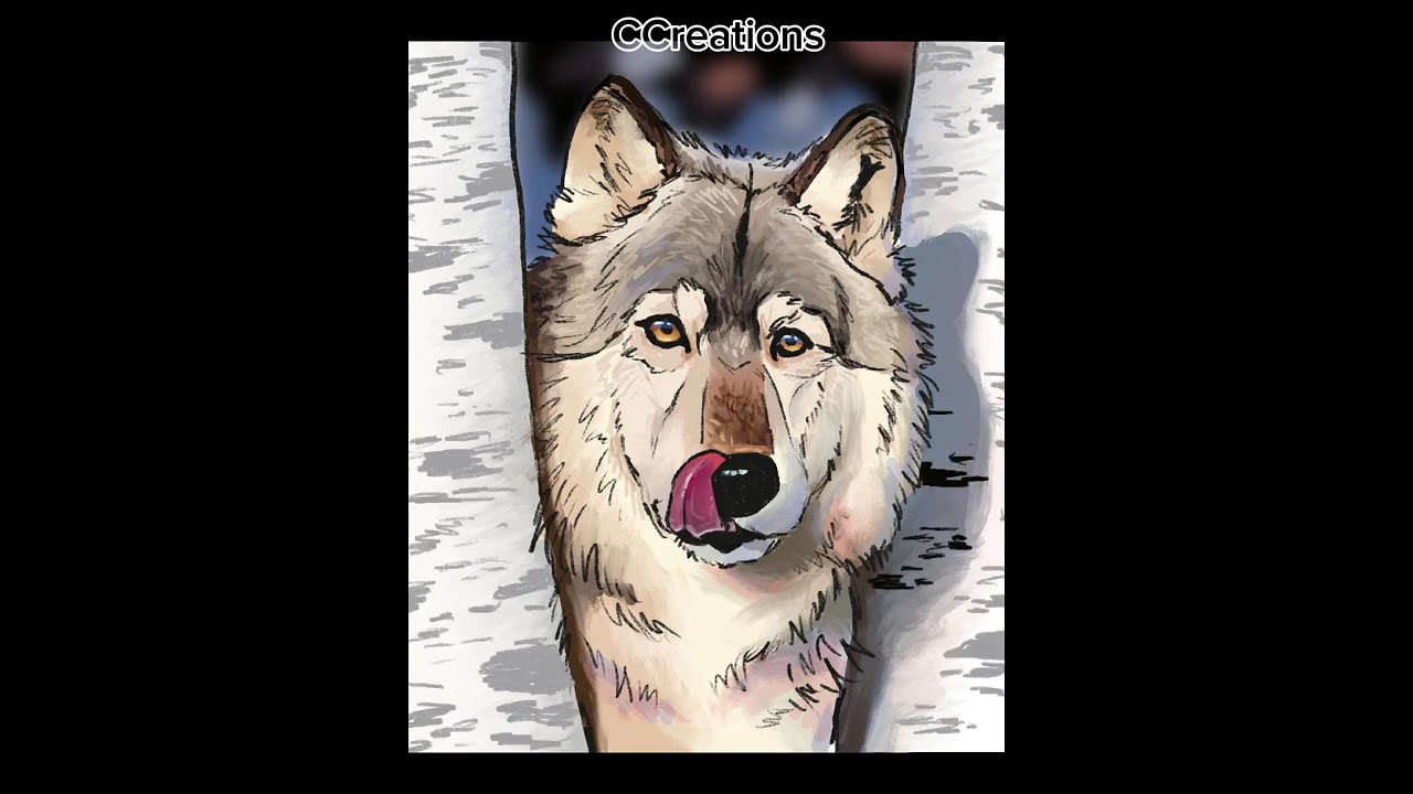 Wolf Drawing Time-lapse