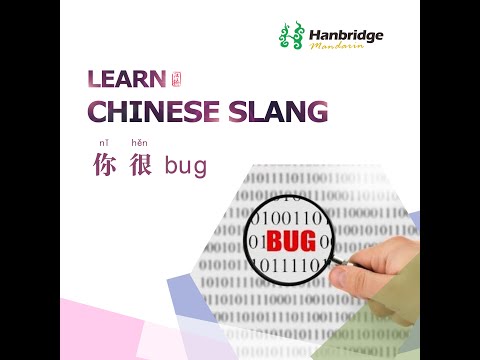 Chinese slang :你佷bug