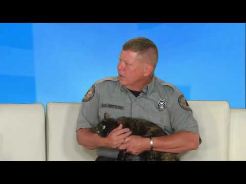 Pet Pals: Angela the tortoise shell cat