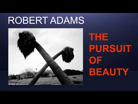Robert Adams