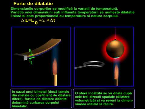 Animații – E-fizica