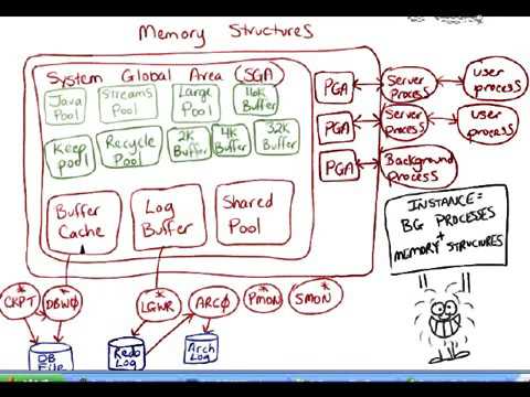 Oracle OCA OCP Certification lesson 9 , Learn Oracle