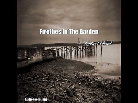 Fireflies In The Garden (Robert Frost Poem)