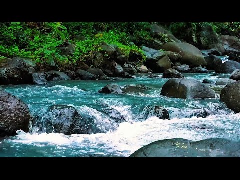 Powerful River Flow in Nature – Soothing Water Sounds