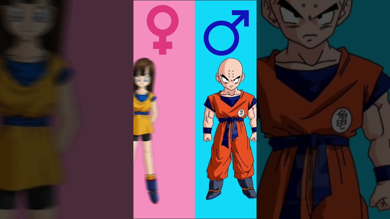 dragon ball z female  and male swap gender#tranding #anime #dragonballz