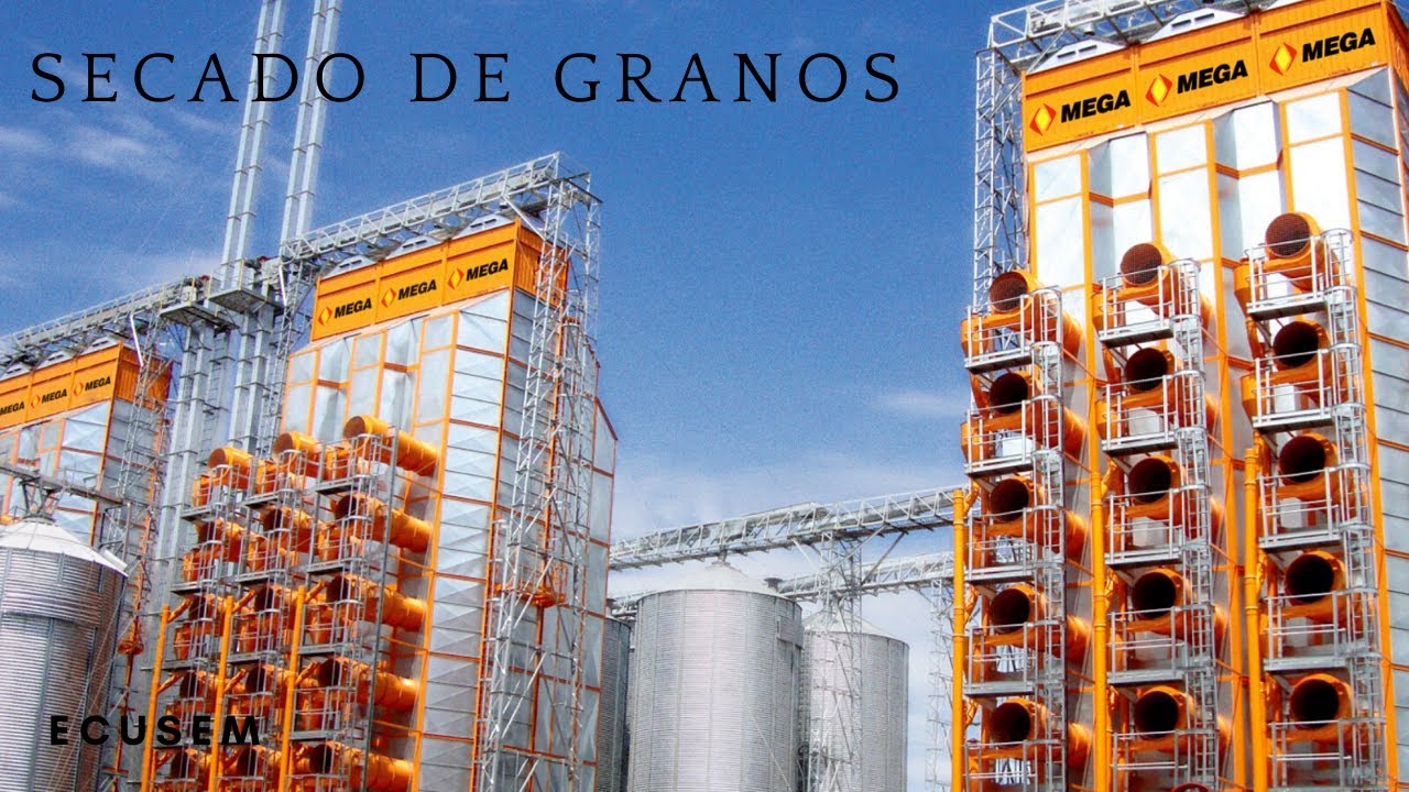 Semilla y su Calidad de Secado para la Siembra