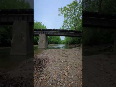 wood or water what do you prefer #subscribe #shorts #video #dji #woods #water #fishing #hunting