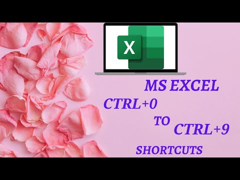 CTRL+0 TO CTRL+9 SHORTCUTS IN EXCEL – DIFFICULT TAUGHT EASY
