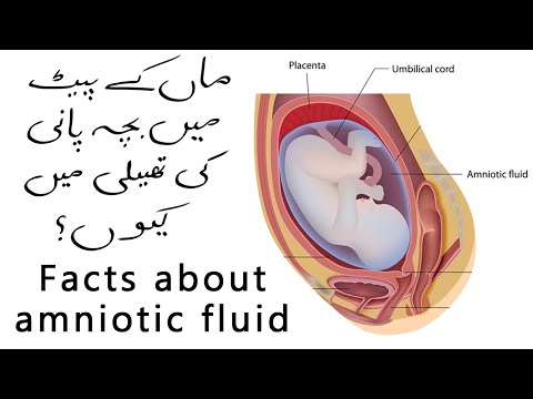 Facts about amniotic fluid (Urdu/Hindi)