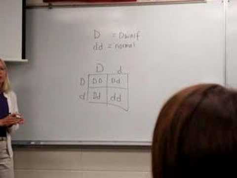 Reproductive System Review