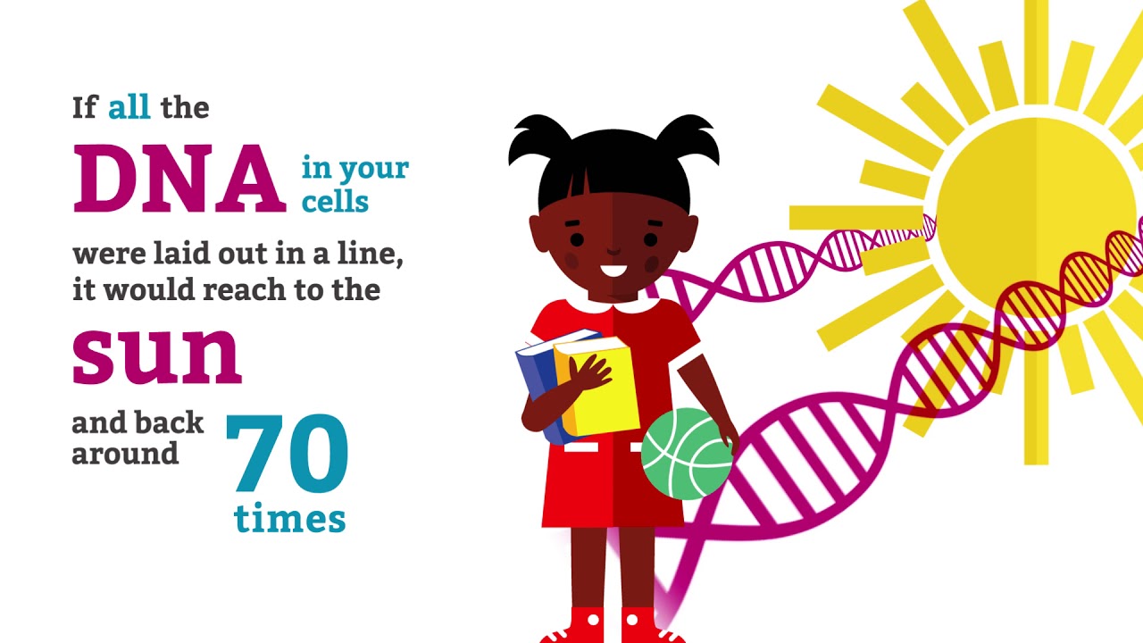 Genomic Fun Facts: DNA Distance