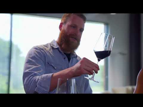 Schott Zwiesel Pure Set of 8 White or Red Wine Glasses on QVC