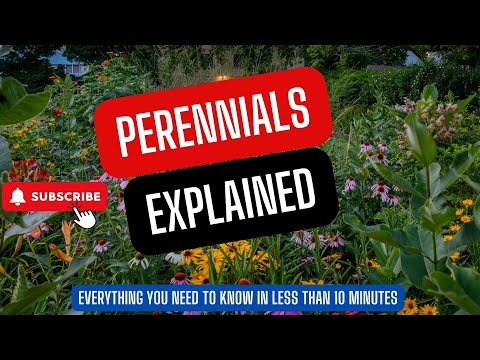 Perennials for the garden.